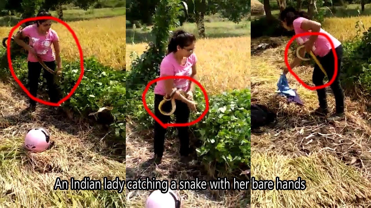 An Indian lady catching a snake with her bare hands. - YouTube