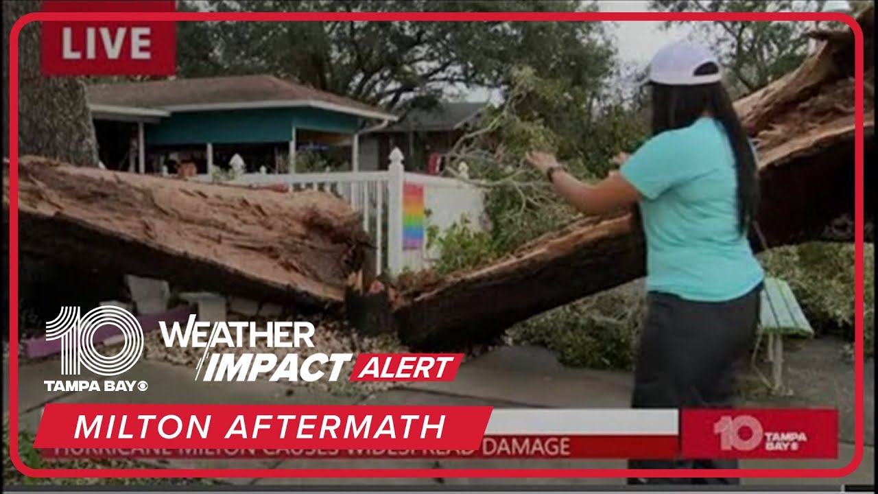 Gulfport sees split, downed trees after Milton - YouTube