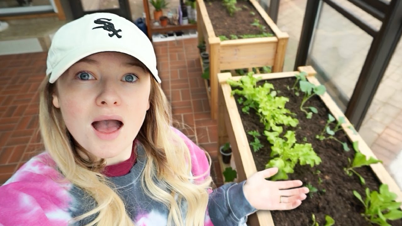 THINGS ARE GROWING OUT OF CONTROL! - YouTube