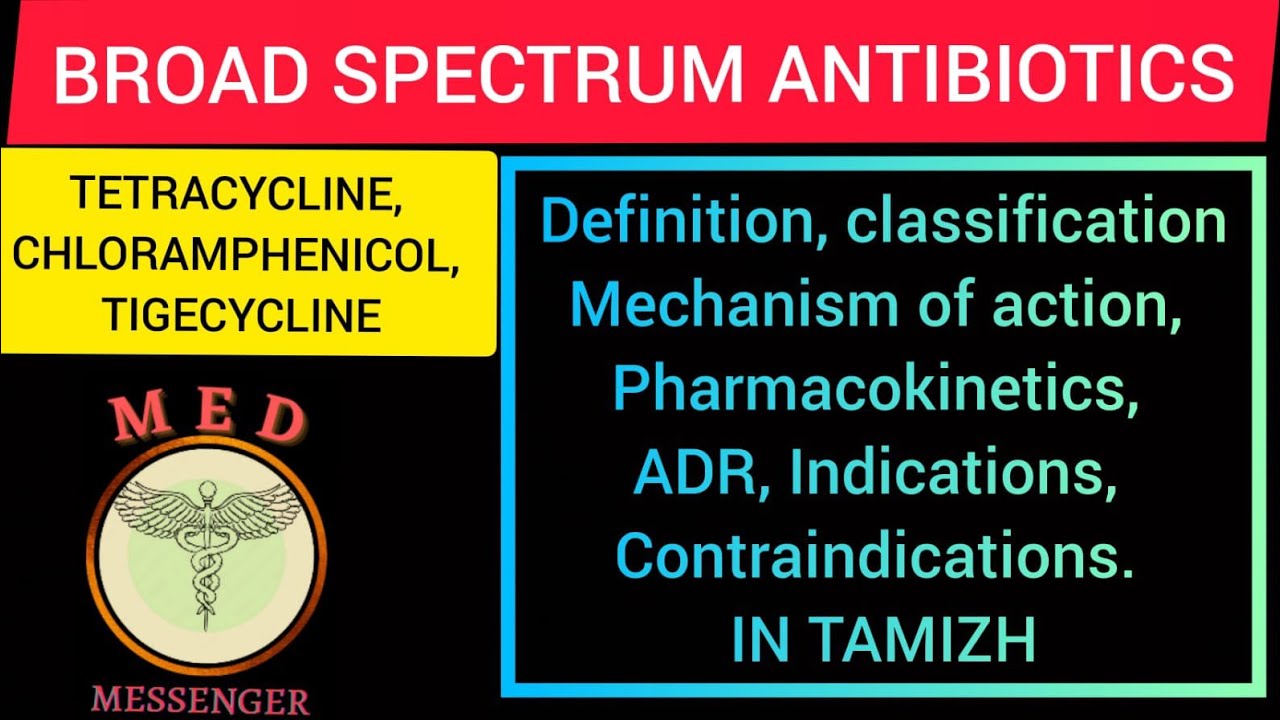 BROAD SPECTRUM ANTIBIOTICS | Tetracycline | Chloramphenicol ...