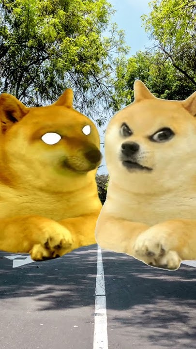 Chems VS Doge #shorts #cheems #doge - YouTube