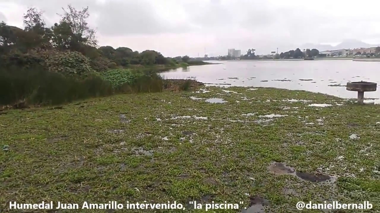 Paneo humedal Juan Amarillo, tercio alto y medio. - YouTube
