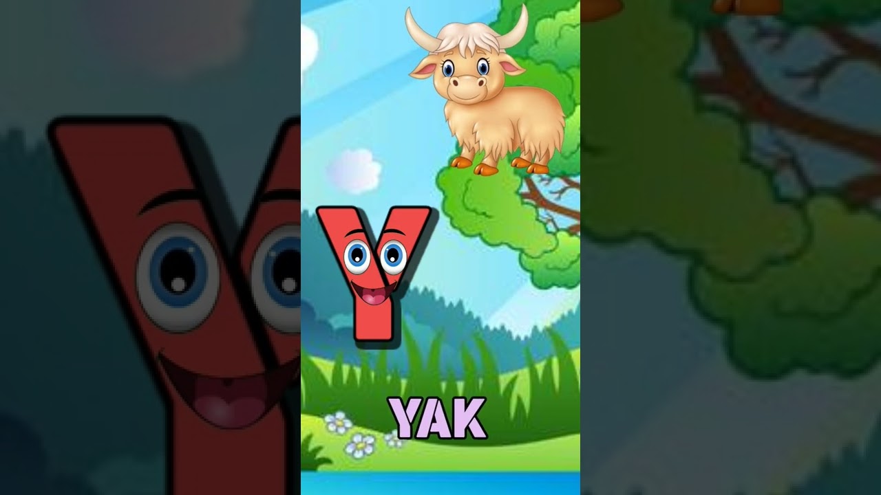 Y for YAK|Learn alphabets with live examples|phonics|uppercase ...