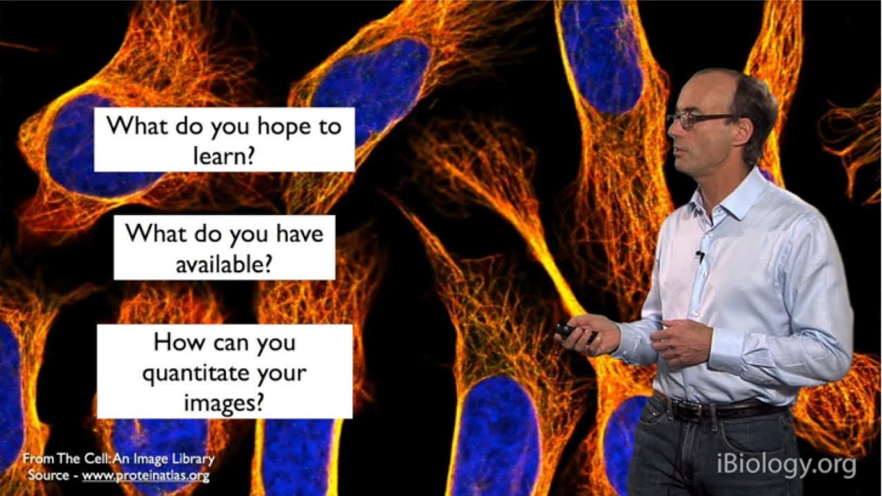 Microscopy: Choosing the Right Microscopy Technique (Ron Vale) - YouTube