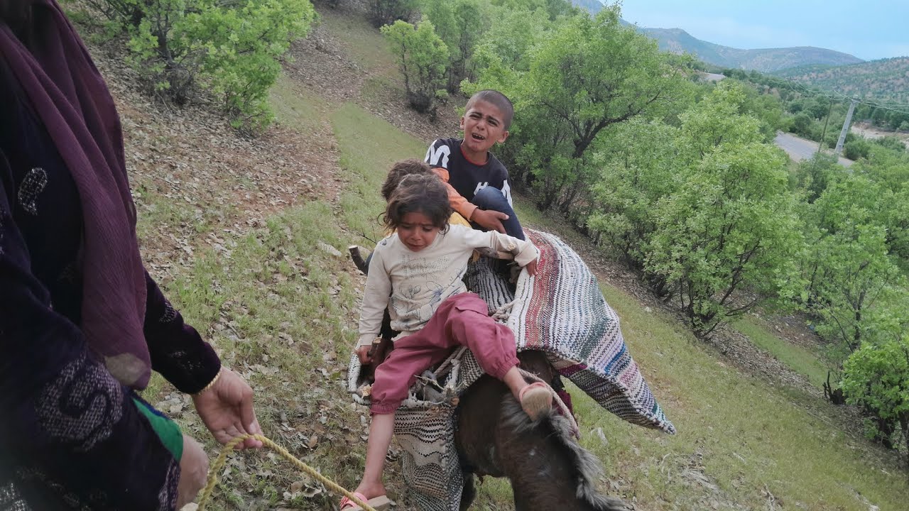 Donkey ride of three minors and their fall - YouTube
