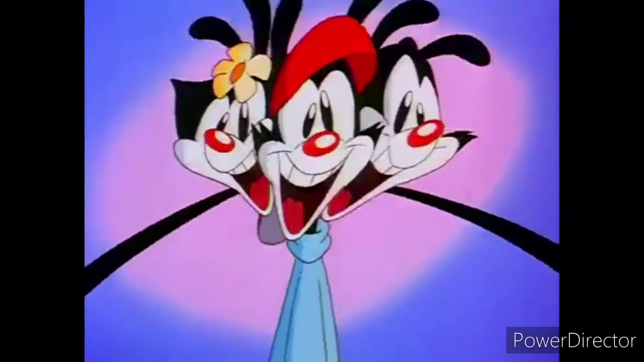 Animaniacs Theme Song Extended - YouTube