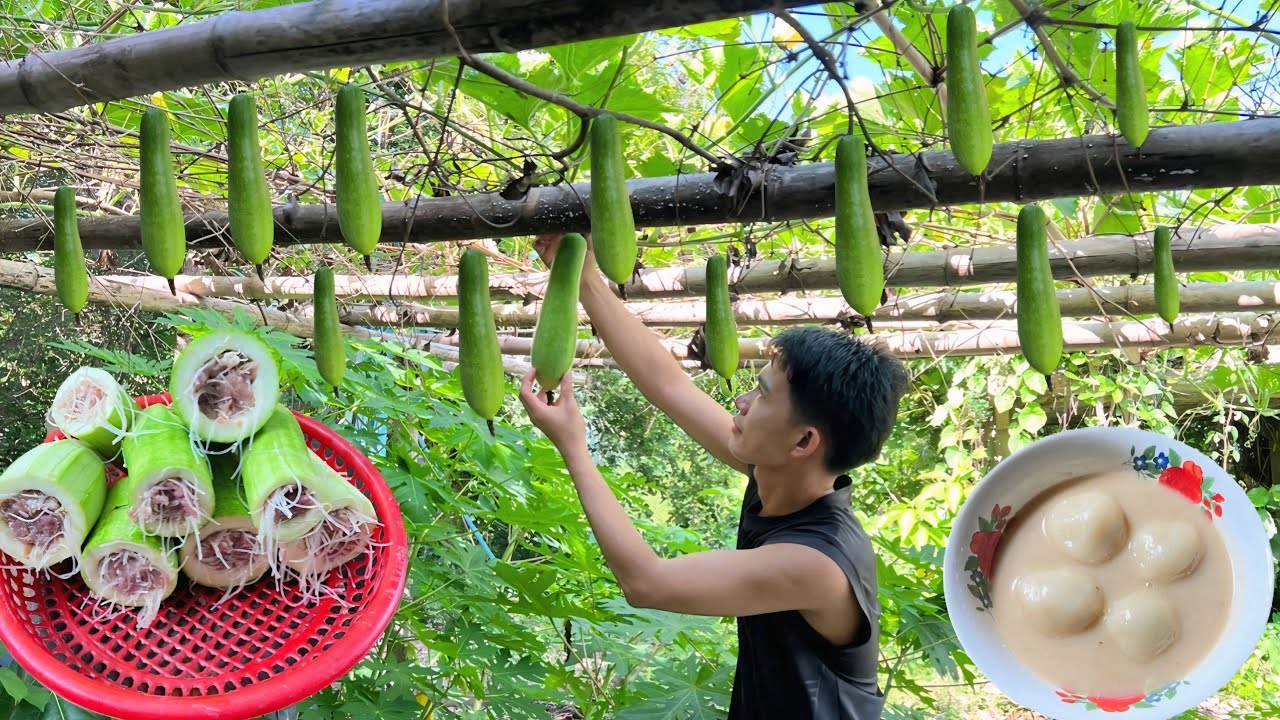 From Garden to Table :Harvest Winter Melon-cook delicious pork recipe ...