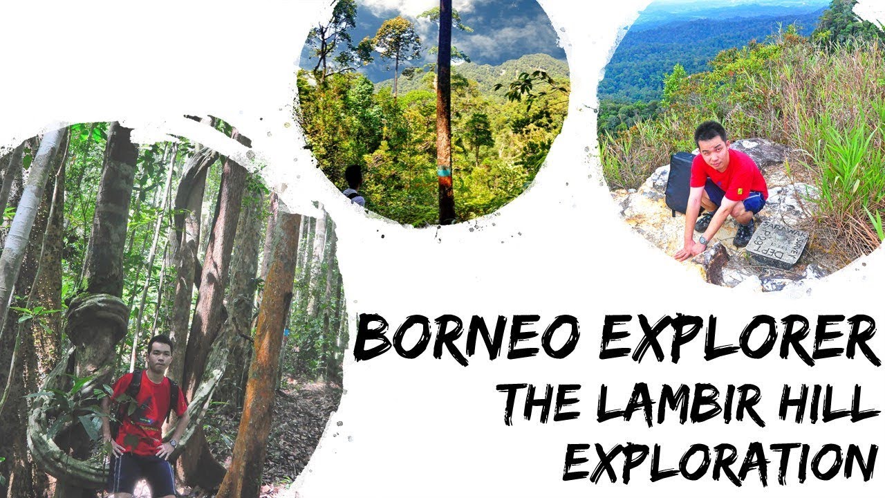 Lambir Hills National Park, Miri, Sarawak, Borneo - YouTube