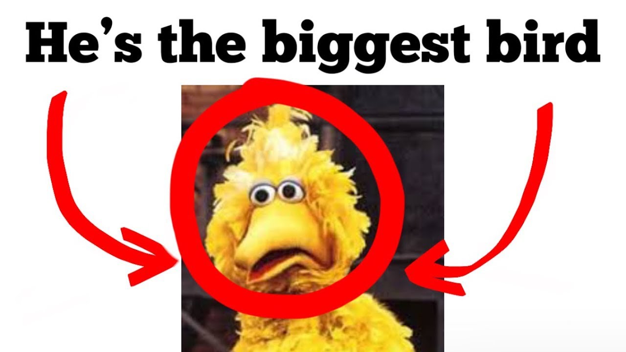 I’m Da Biggest bird - YouTube