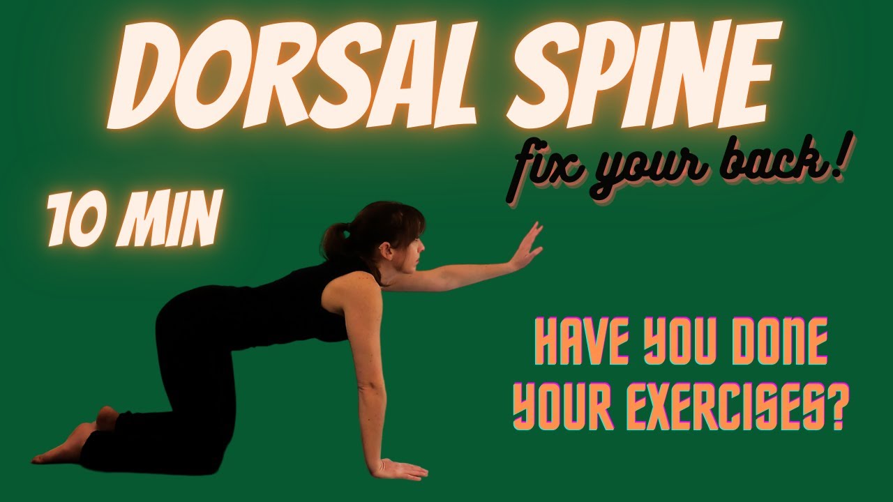 Dorsal Spine - Fix your Back! Daily Exercises - YouTube