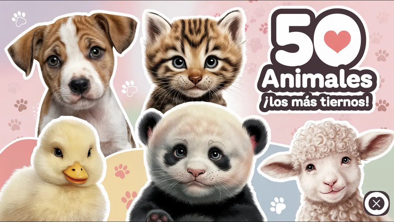 🐾 Los 50 Animales Más Tiernos del Mundo Que Te Harán Enamorarte de ...
