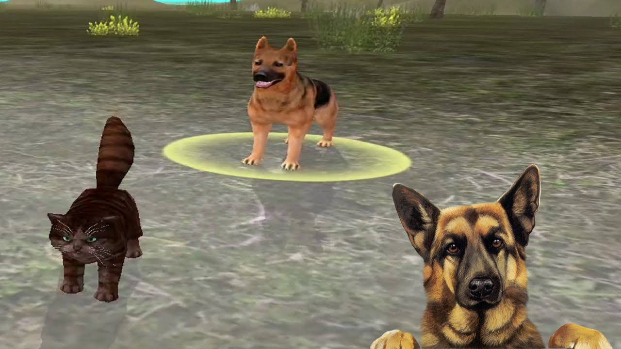 Cat Sim Online: Play with Cats - Cats VS German Shepherd Dog - Gameplay ...