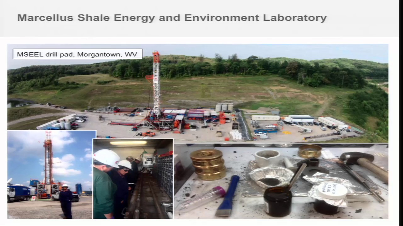 Life in the Subsurface the Geomicrobiology of the Deep Biosphere (Kelly ...