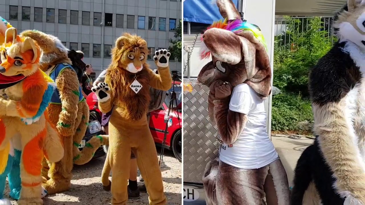 Eurofurence 25 🐾 | Thursday and Saturday 2019 - YouTube