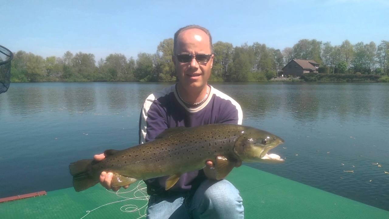 Prachtige bruine forel! - YouTube