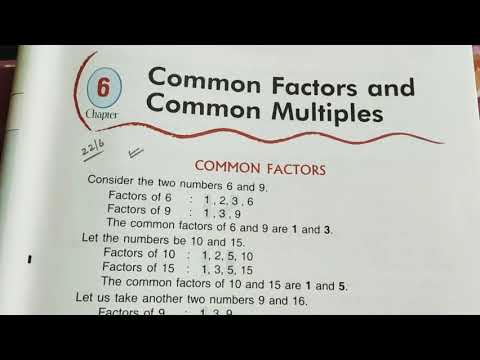 Class 4 Mathematics//Common Factors and HCF//Chapter 6 - YouTube