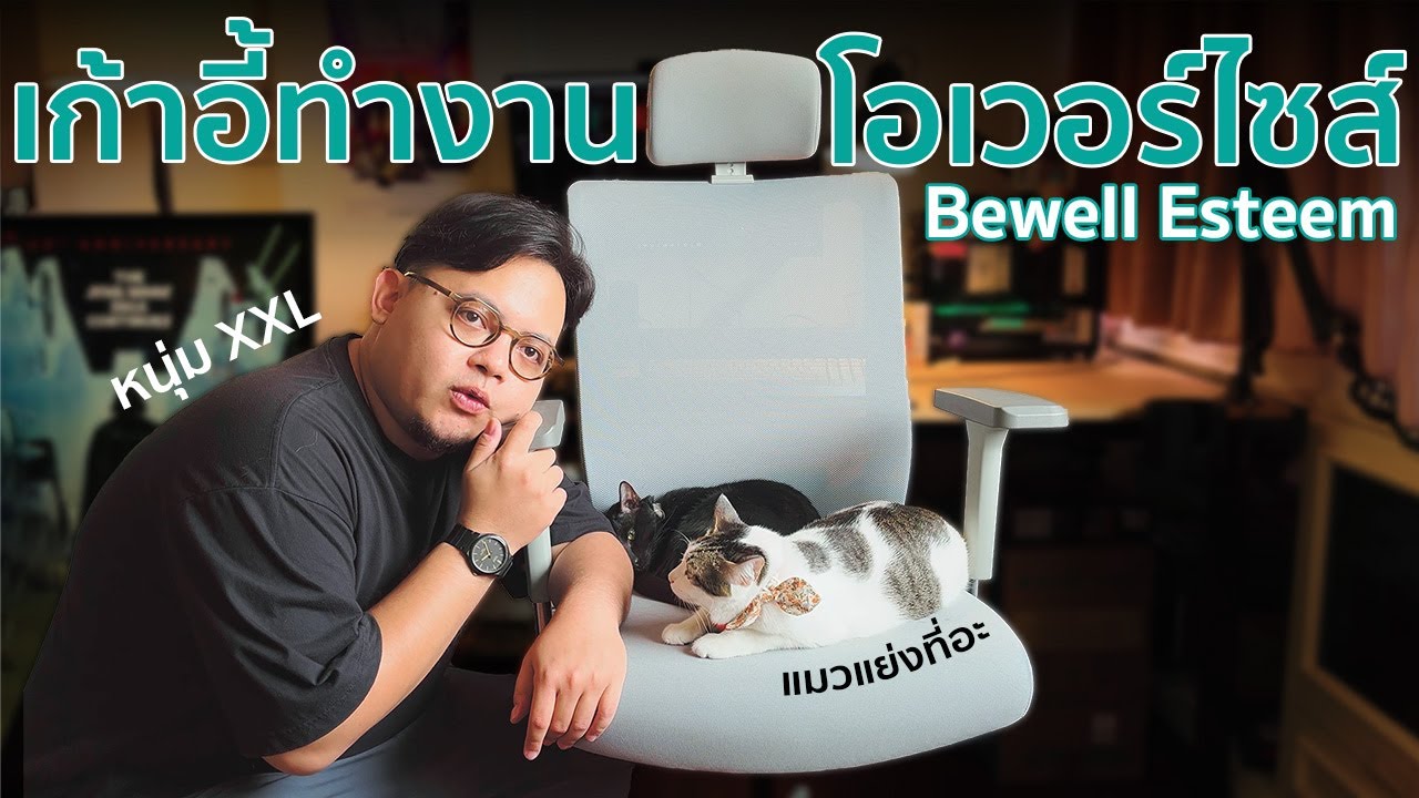 รีวิว Bewell Esteem เก้าอี้ ergonomic ขวัญใจชาว Oversized - YouTube