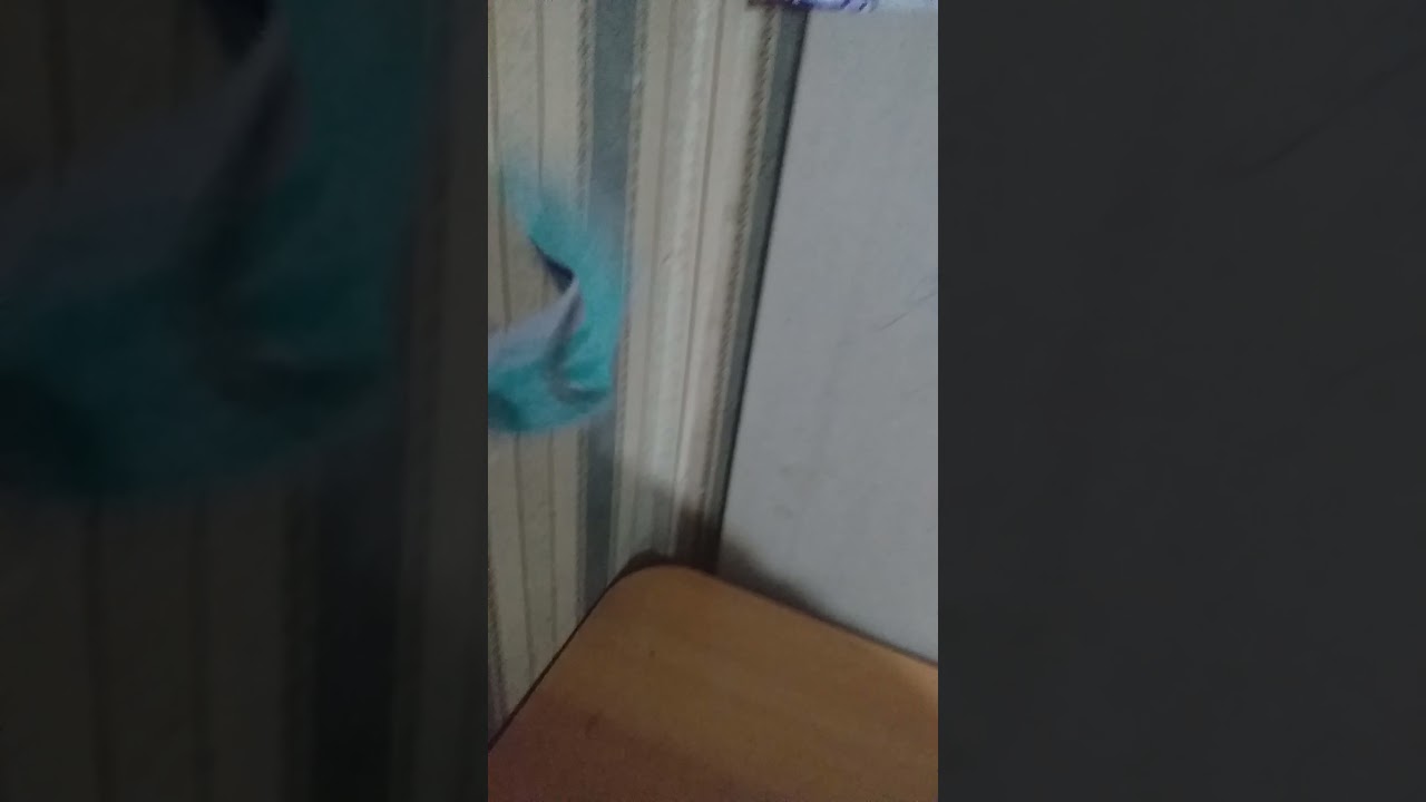 aqualantic airlines fligh 765 crash animation - YouTube