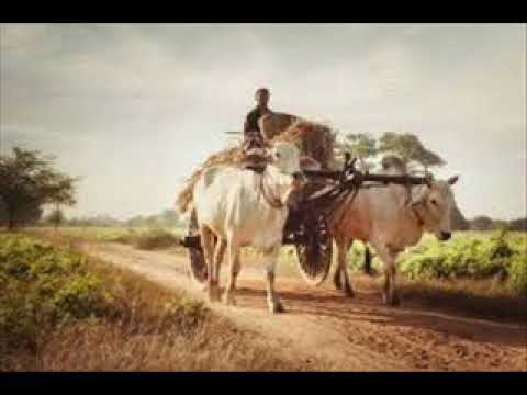 Orikal niranjum orikal melinjum oyukum puzha...... (Song)