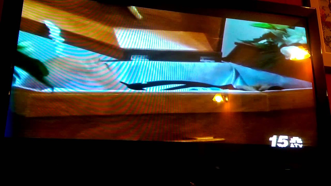 Tributo & Intiero Hubert "Lio" Booi - YouTube