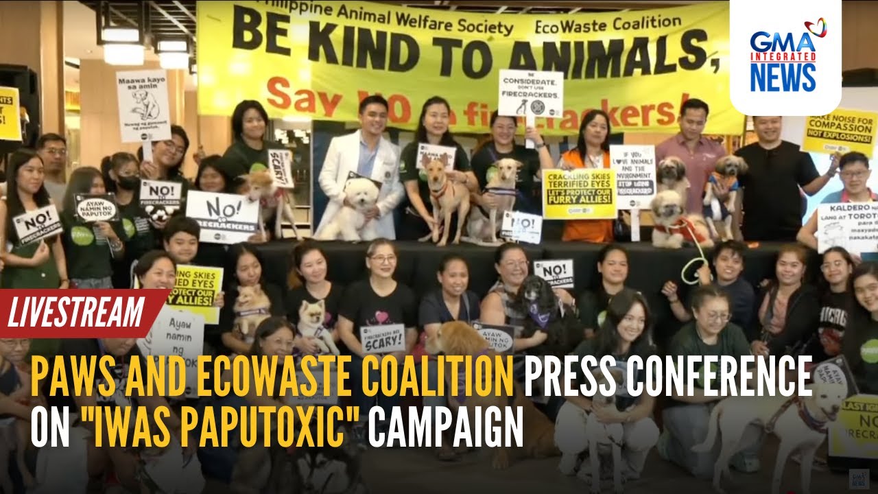LIVE: PAWS and EcoWaste Coalition press conference on "Iwas... | GMA ...
