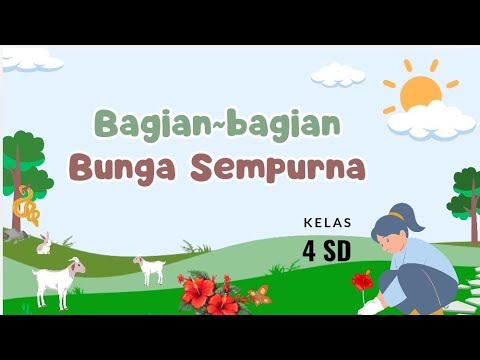 BAGIAN-BAGIAN BUNGA SEMPURNA | IPAS KELAS 4 SD KURIKULUM MERDEKA - YouTube