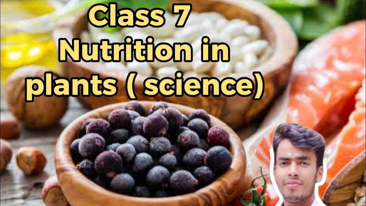 class 7 " nutrition in plants" introduction - YouTube