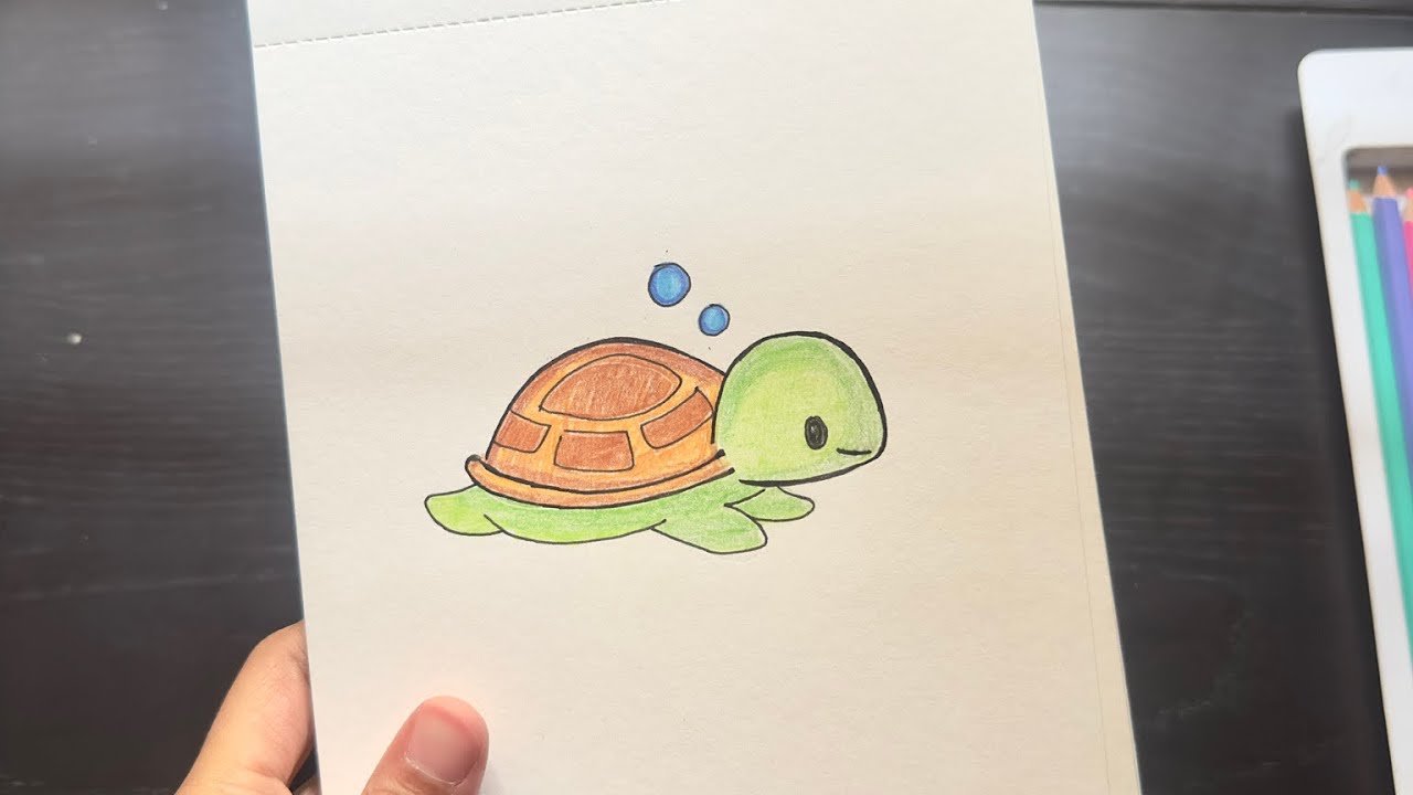 Simple Tortoise Sketch for Beginners - YouTube