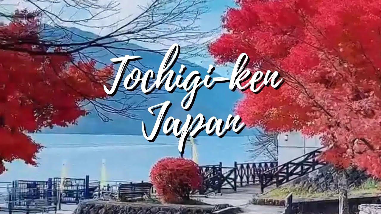 panahon ng tag-lagas sa probinsiya ng japan #autumn #japan #video #vlog ...