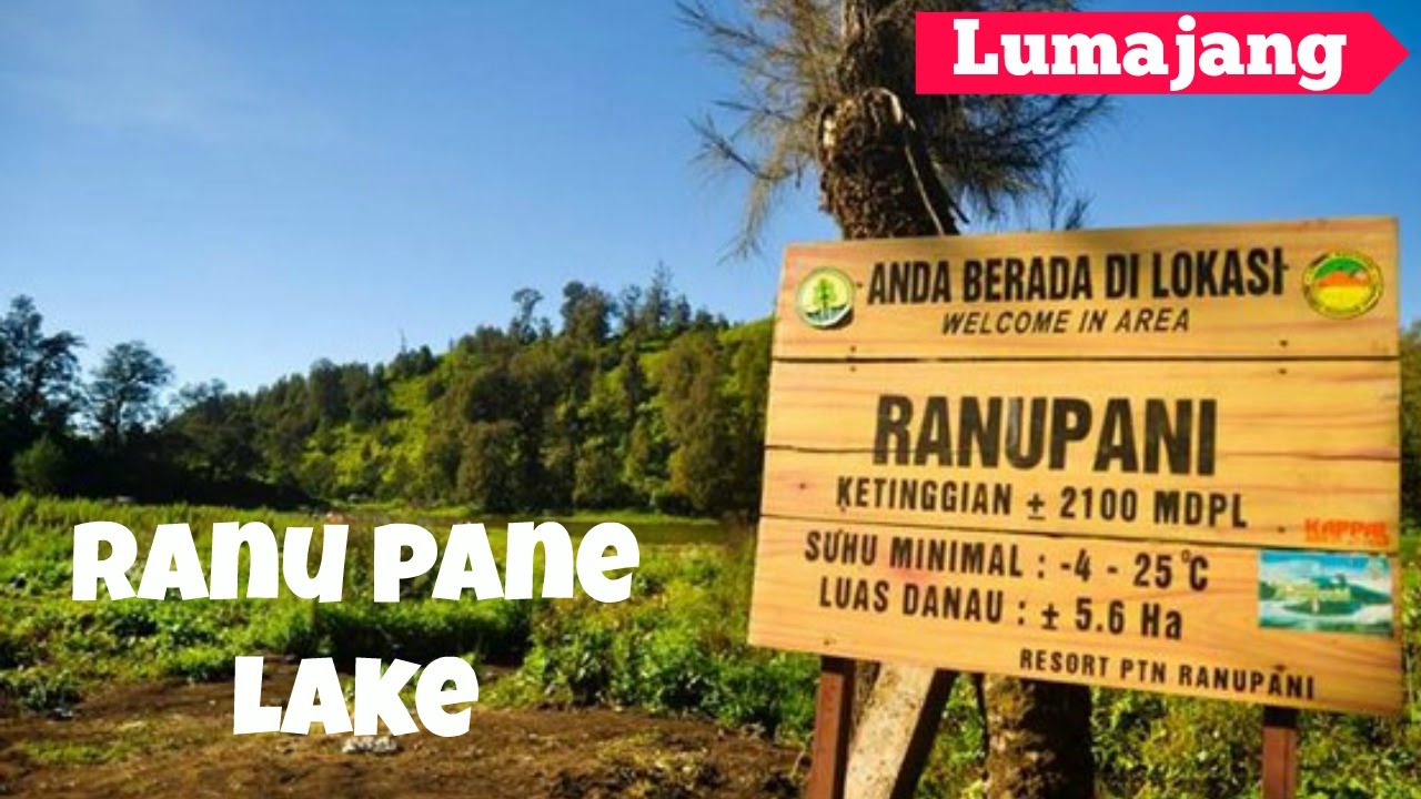 The Magnificent Ranu Pane Lake, Lumajang - East Java - YouTube