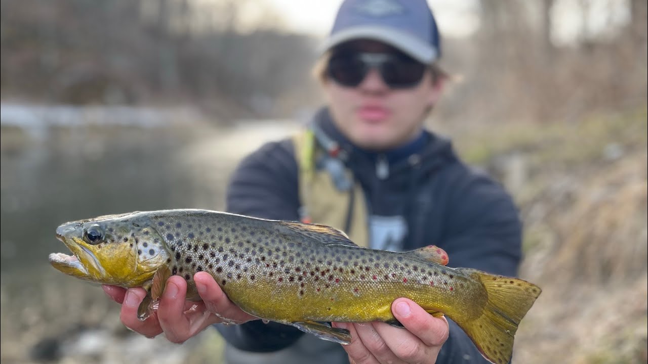 BIG Spring Creek Browns { Fly Fishing Trout in Iowa } - YouTube