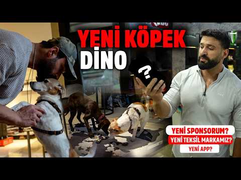 YENİ SPONSORUM?  -DİNOYU SAHİPLENDİK  - YENİ GELİŞMELER