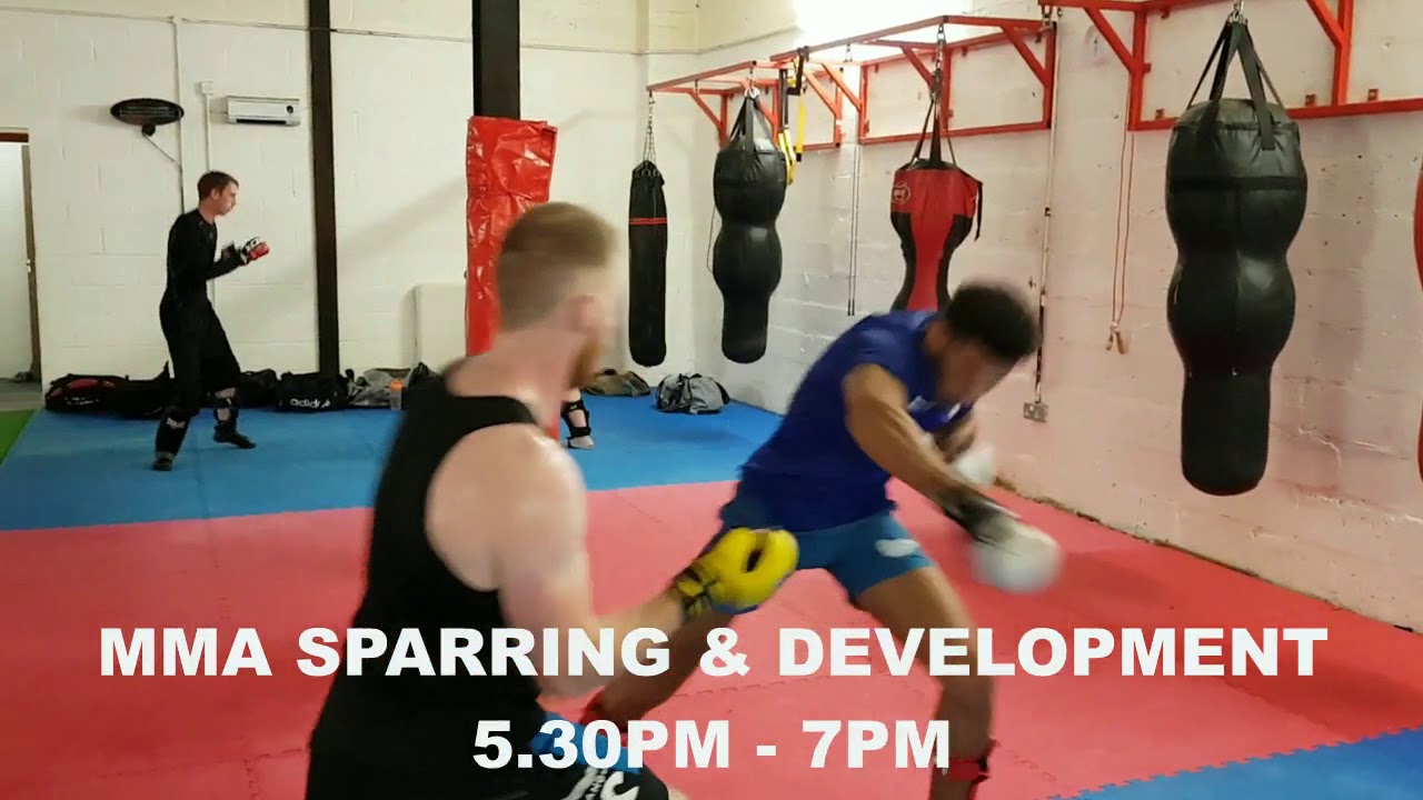Friday At Range Martial Arts Academy - YouTube