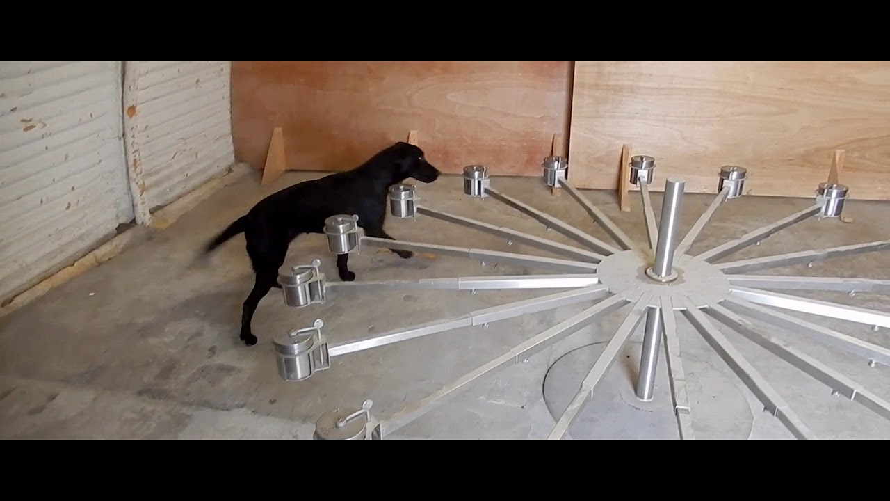 Carousel Scent Wheel 18 Arm RAF UKBA Style - YouTube