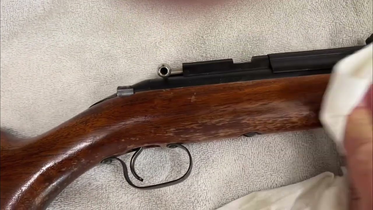 Pellet gun rifle wood stock quick refinish - YouTube