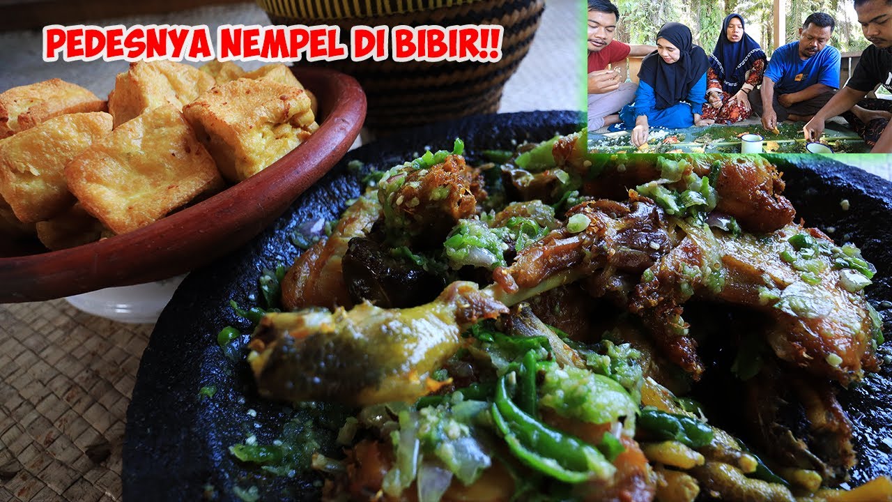 AYAM BATOKOK LADO KUTU!! - YouTube