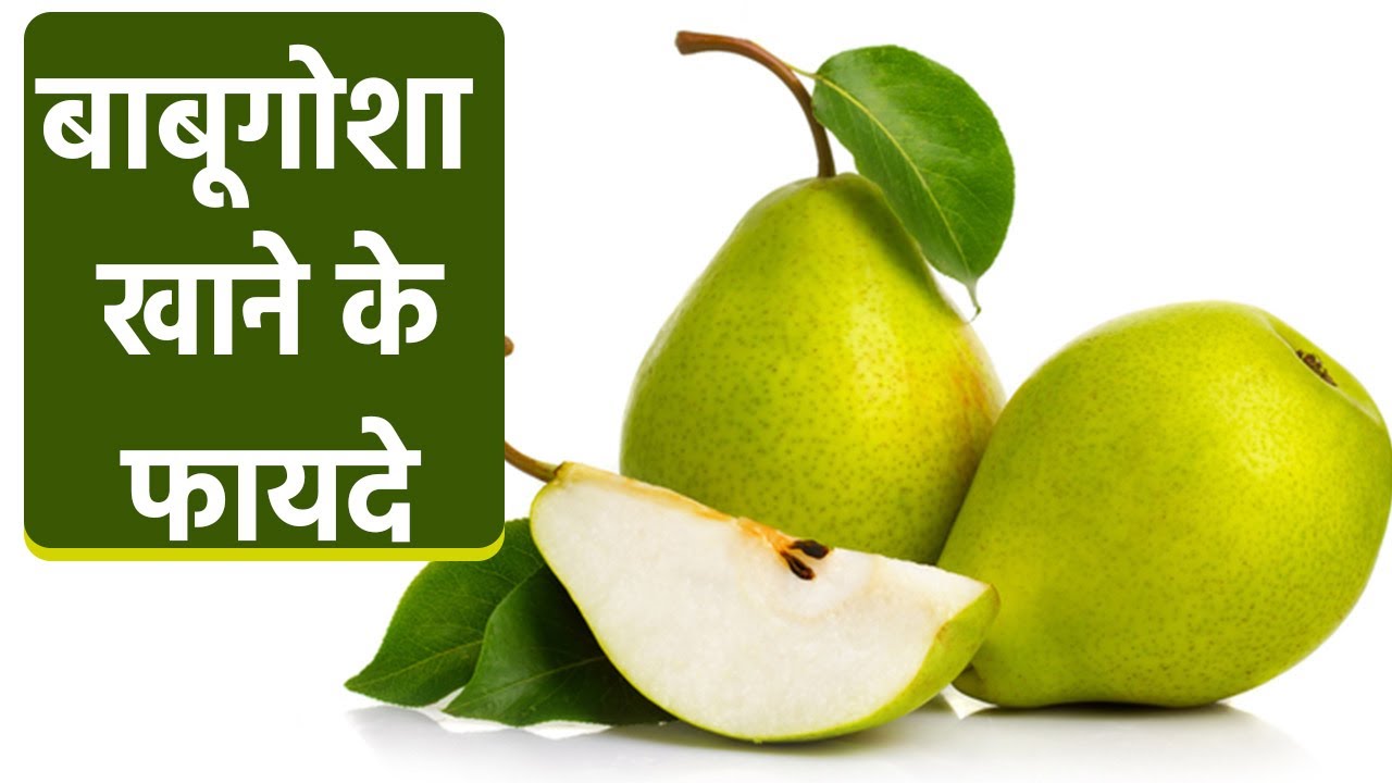Babugosha Khane ke Fayde | बाबूगोशा खाने के फायदे | Boldsky *Health ...