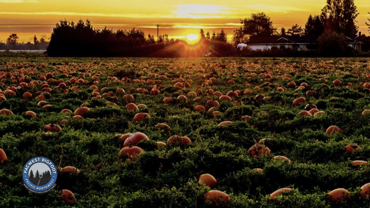 The Pumpkin Smasher Bigfoot Of Ruch, Oregon... - YouTube