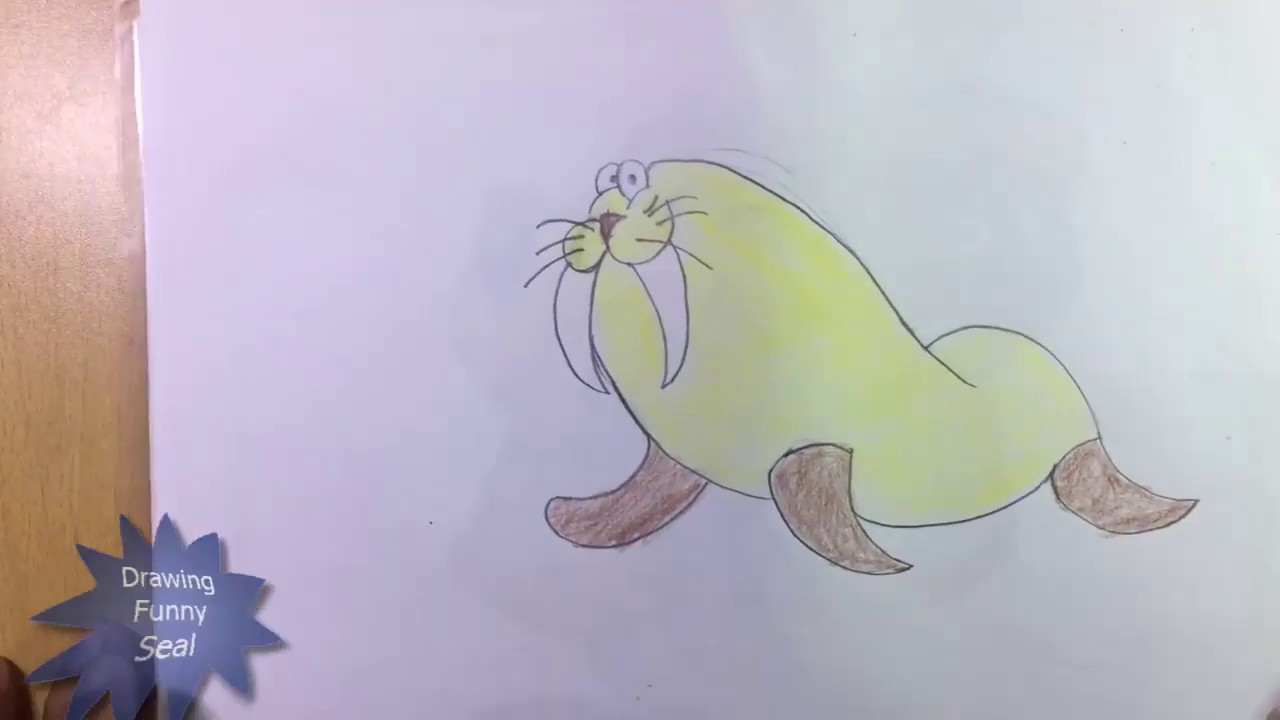 How to draw a seal step by step | Art for kids - YouTube