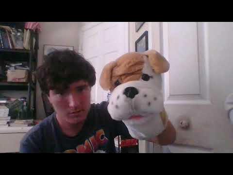 Introducing Jake the Bulldog!!! - YouTube