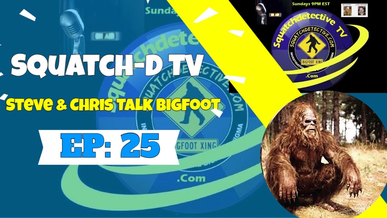 👉Bigfoot Talk | Squatch-D TV Ep. 25 - YouTube