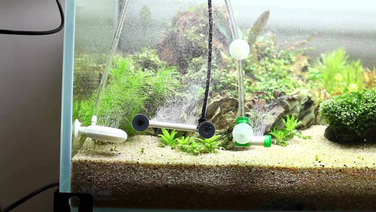 Intense CO2 Diffuser - YouTube