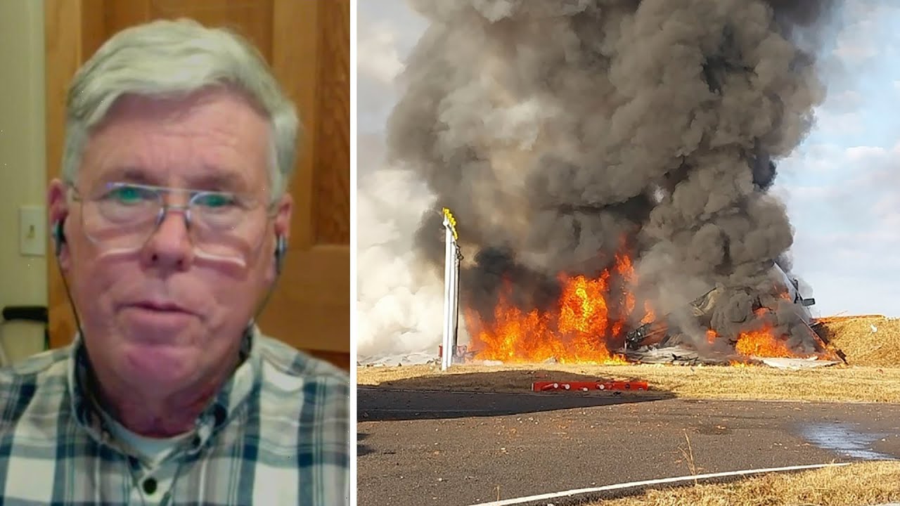 Are birds to blame for the deadly plane crash in South Korea ...