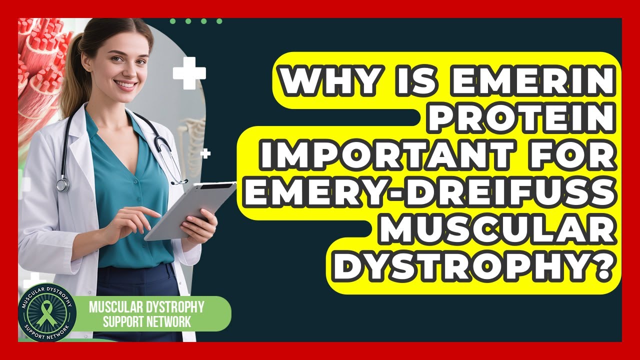 Why Is Emerin Protein Important For Emery-Dreifuss Muscular Dystrophy ...