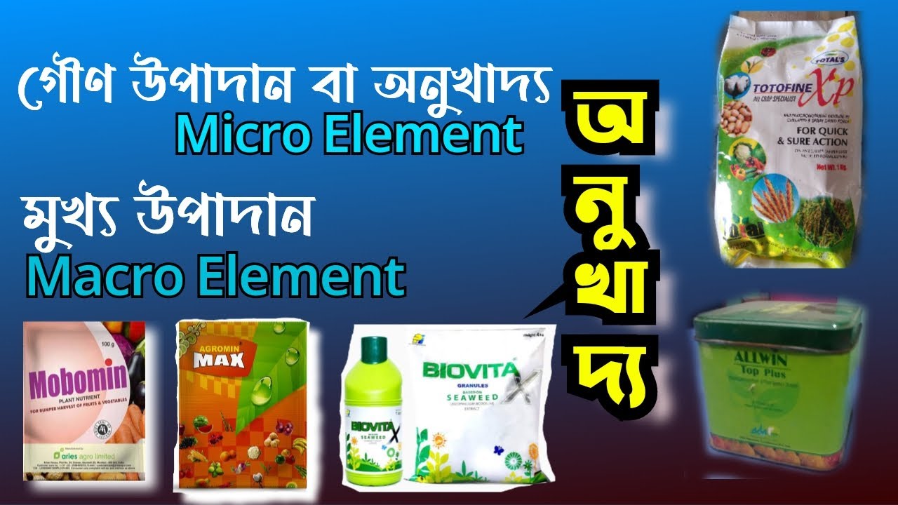 What Is Plant Micronutrients| অনু খাদ্য| Macro Element & Micro Element ...
