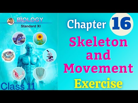 Skeleton and Movement class 11 biology chapter 16 exercise solutions ...