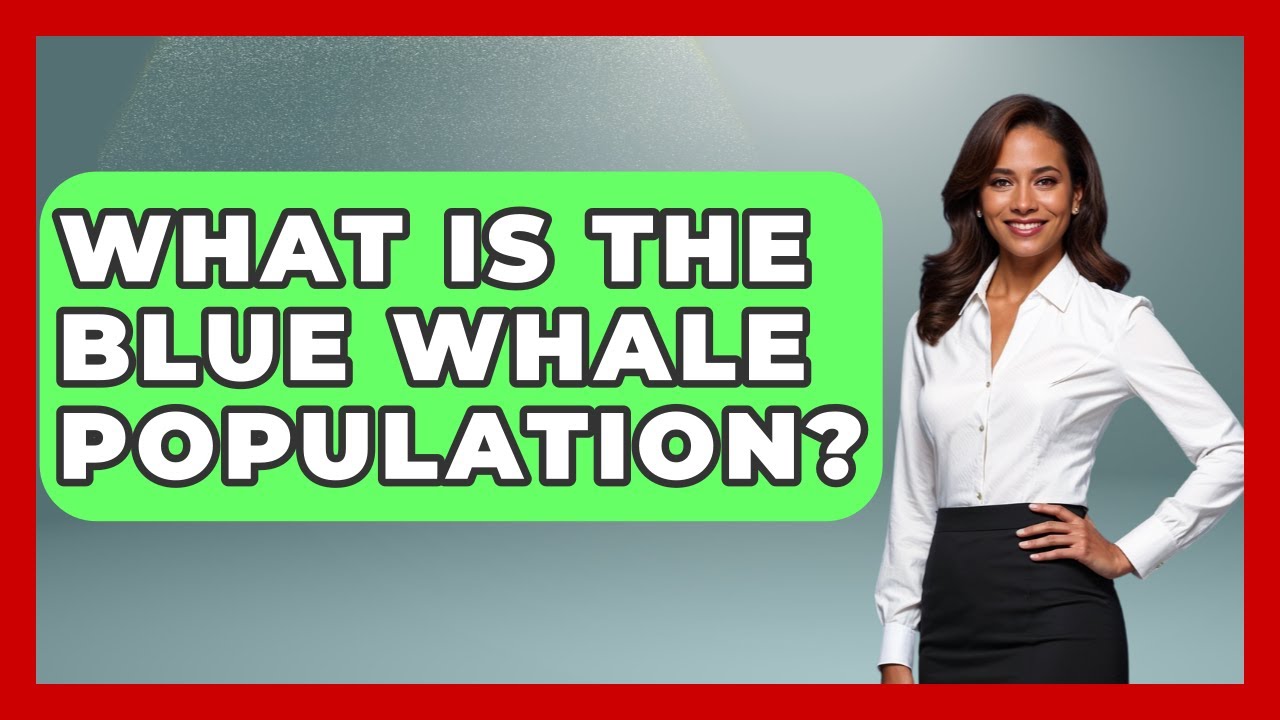 What Is The Blue Whale Population? - The Marine Life Explorer - YouTube
