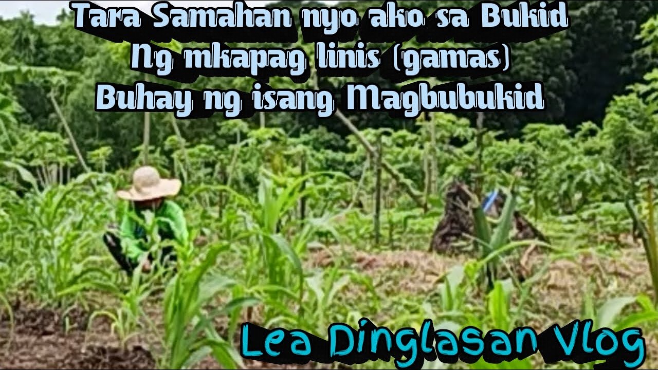 Part #02 Paglilinis Sa Bukid Tara Samahan Nyo Ako Sa Bukid # ...