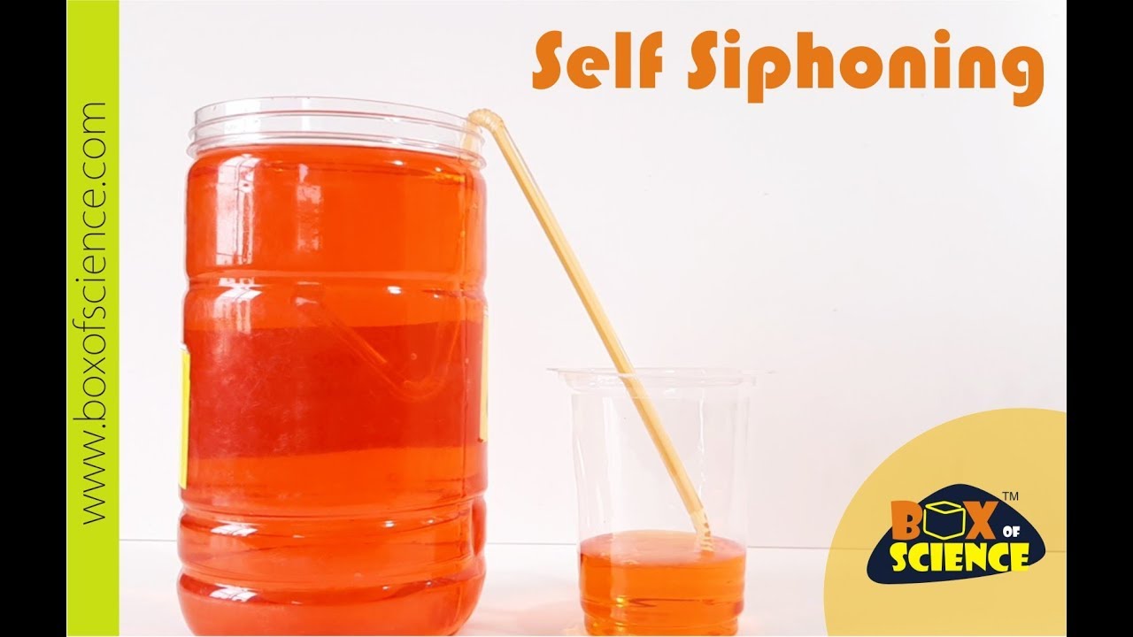 Self Siphoning | Amazing Science Activity | Box of Science - YouTube