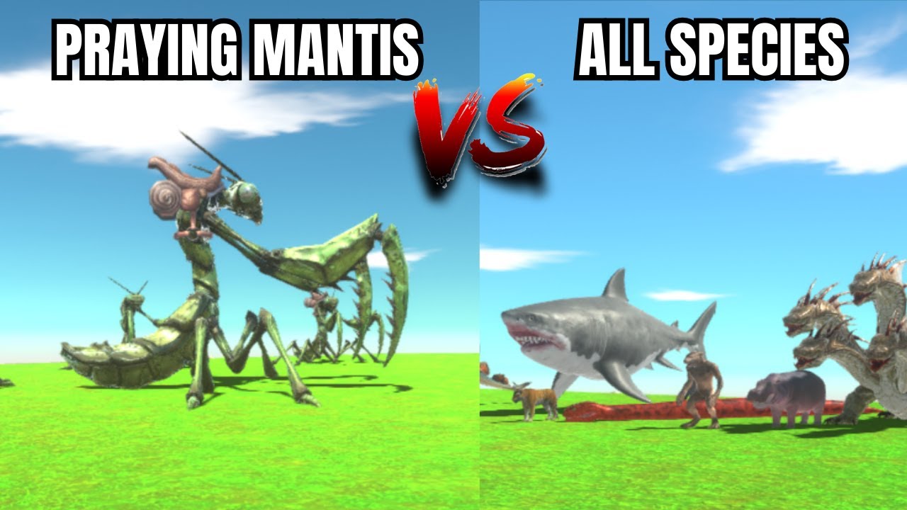 Praying Mantis VS All Species FOREST WILL NEVER FORGET - Animal Revolt ...